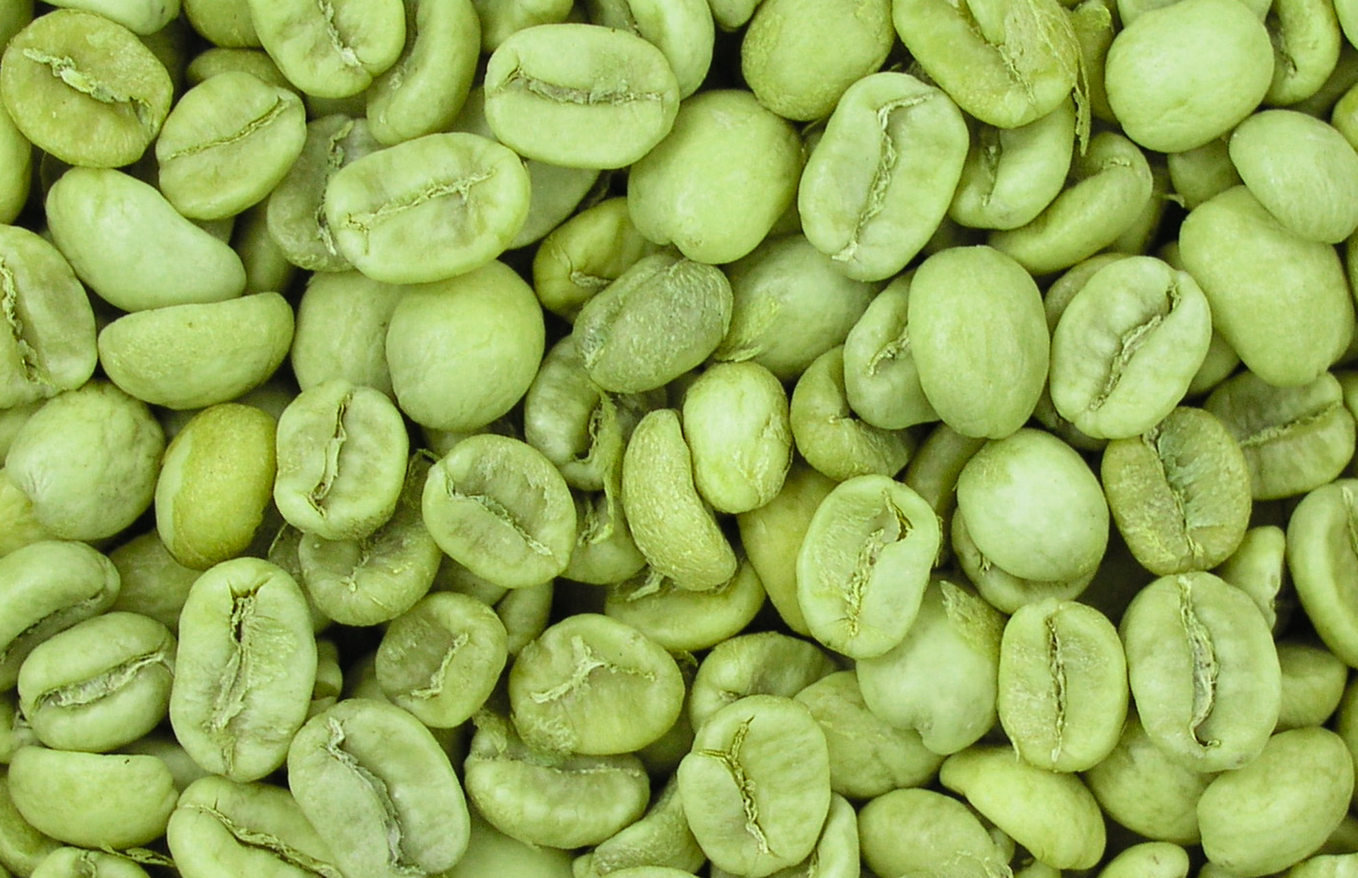 Inka Coffee – Coffee Roasters Est 2015